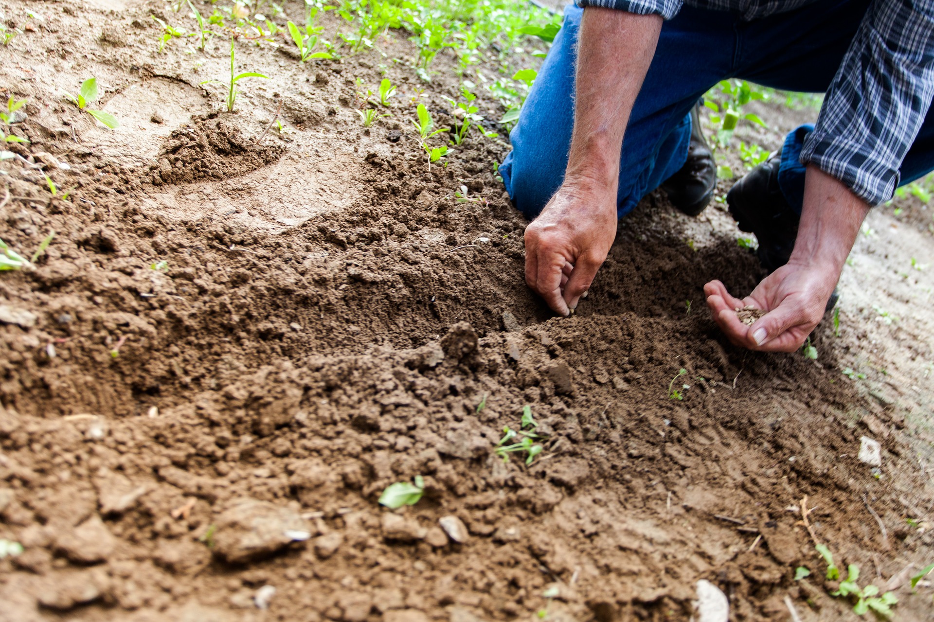 Garden Soil Baton Rouge + Delivery | LA Landscape Supply