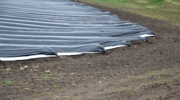 Silage Tarps | LA Landscape Supply
