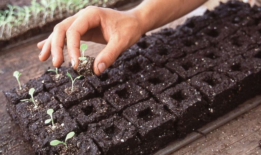 Soil Block | LA Landscape Supply